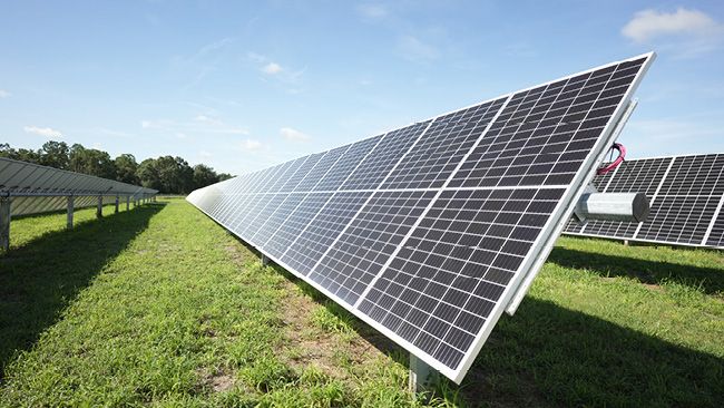 Wendy’s central Florida restaurants now sourcing renewable energy from ...