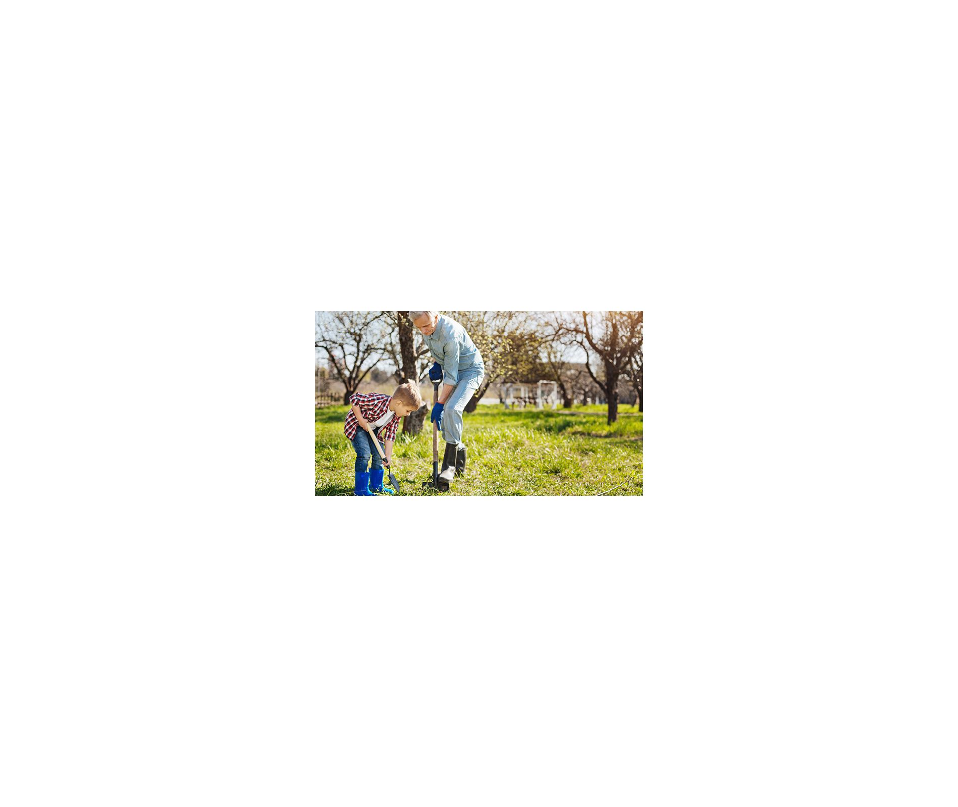 Duke Energy celebrates Florida Arbor Day by giving away 1,200 free ...