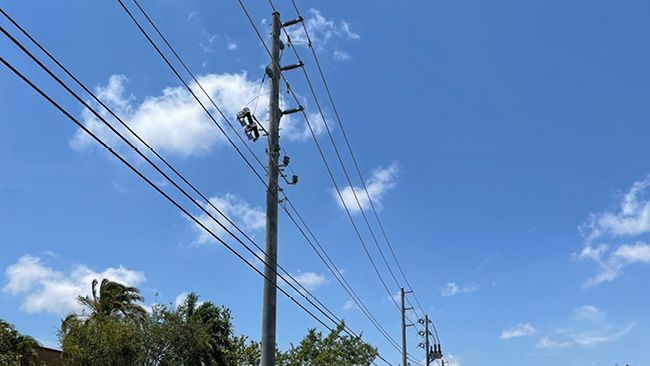 Duke Energy Florida continues storm hardening work, improves ...