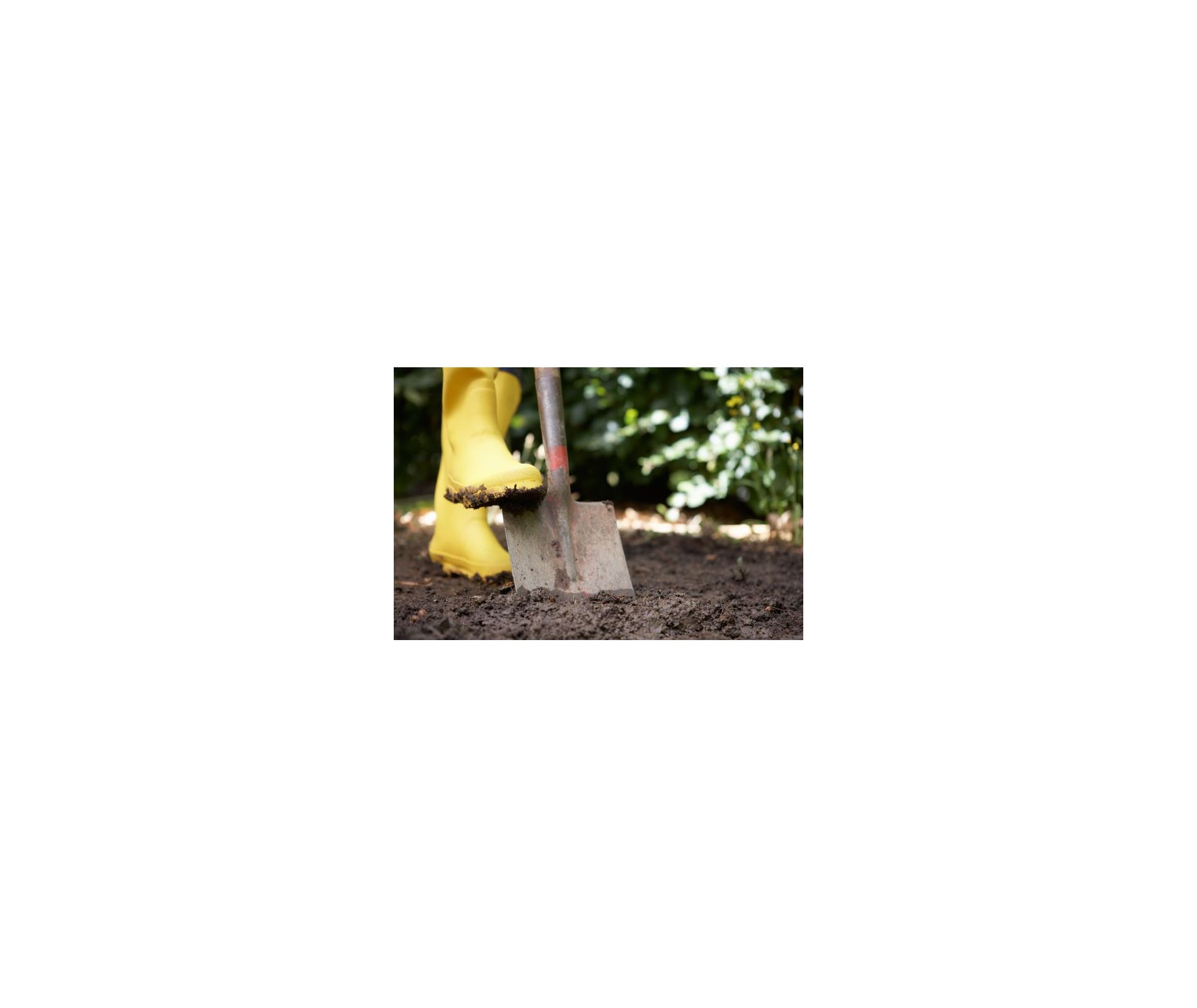 Dial before you dig – Piedmont Natural Gas and Duke Energy remind ...