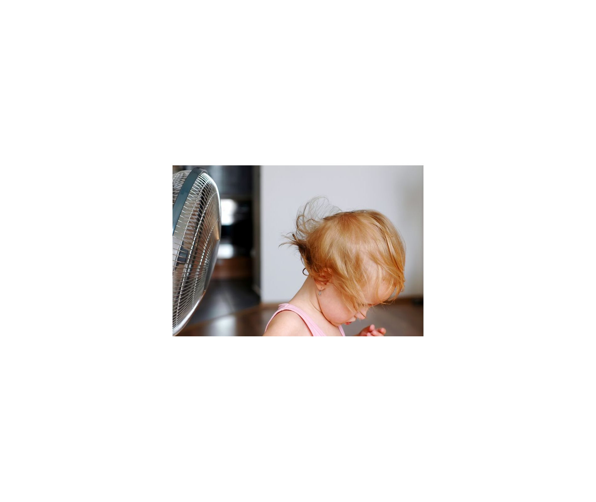 Duke Energy partners with local nonprofits to distribute fans to help ...