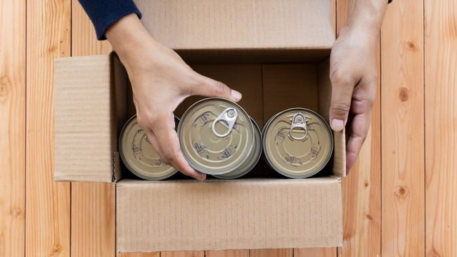 Duke Energy Florida celebrates delivering on nearly 750-megawatt solar ...