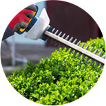 4 outdoor spring cleaning safety tips | Duke Energy | illumination