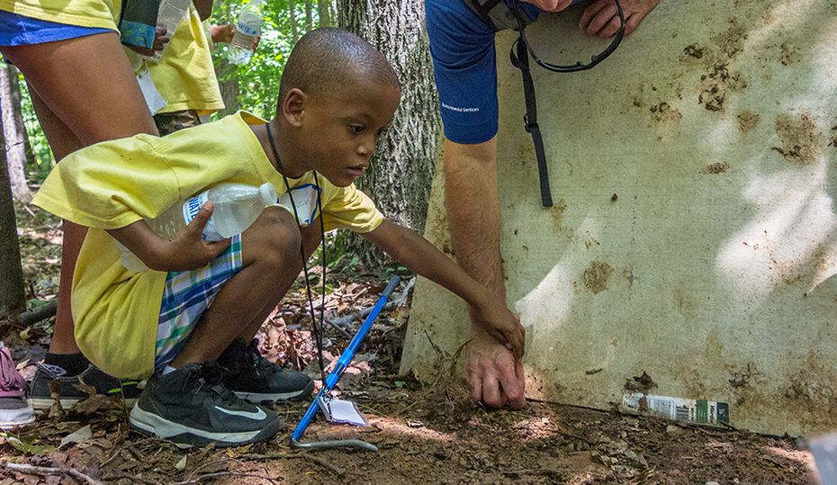 Wildlife Detectives make fascinating finds at nuclear plant | Duke ...