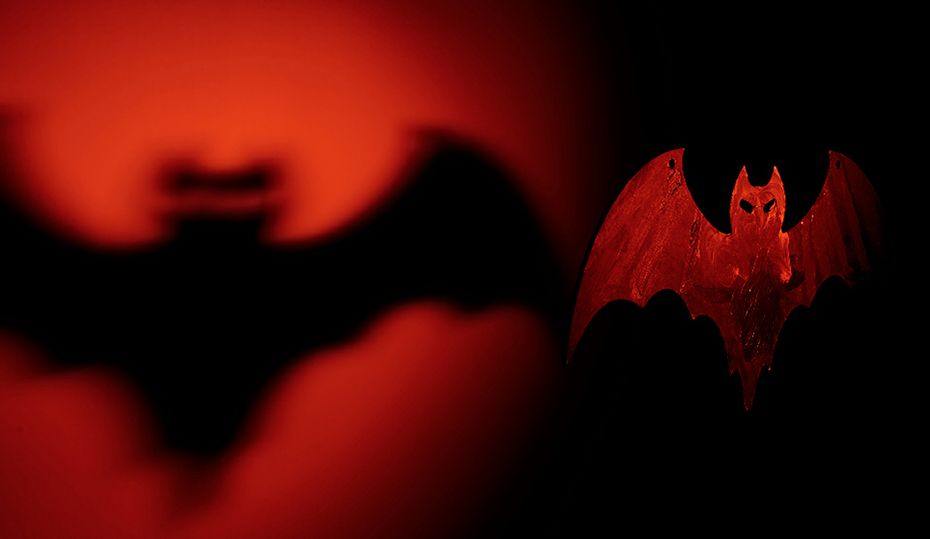Power up your Halloween with vampires, bats