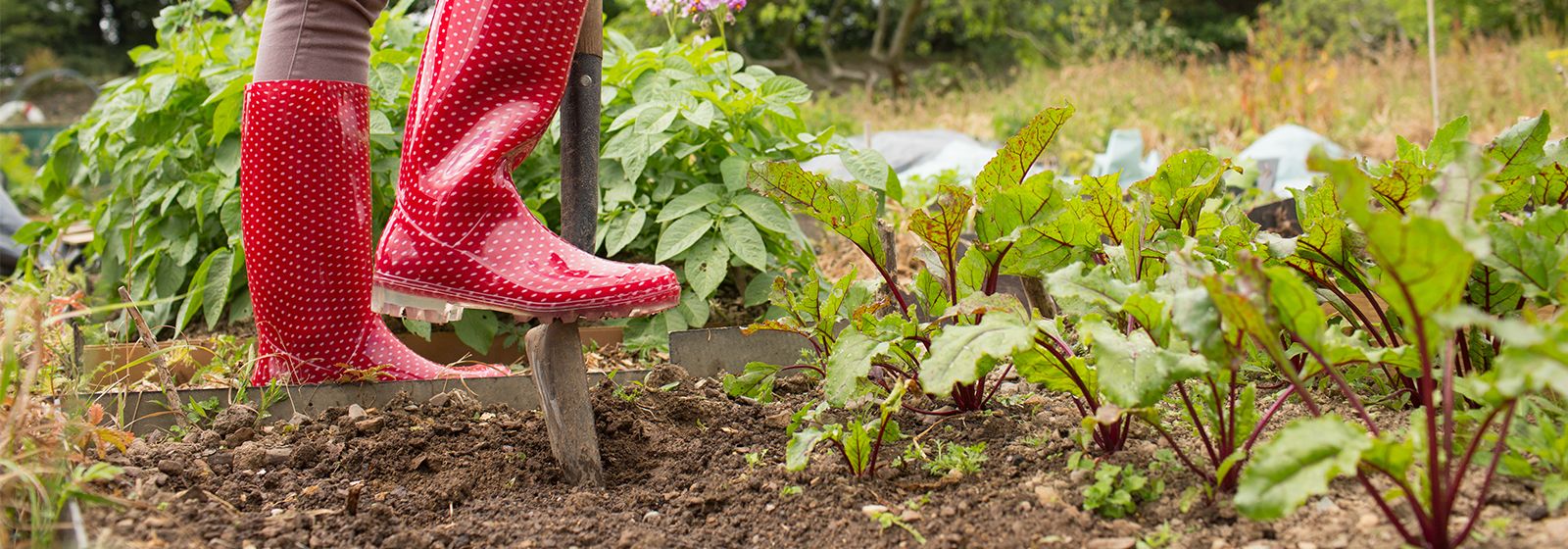 Time for yard work? Call 811 before you dig | Duke Energy | illumination