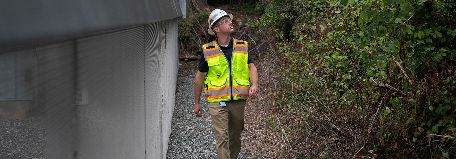 How Duke Energy keeps trees off power lines | Duke Energy | illumination