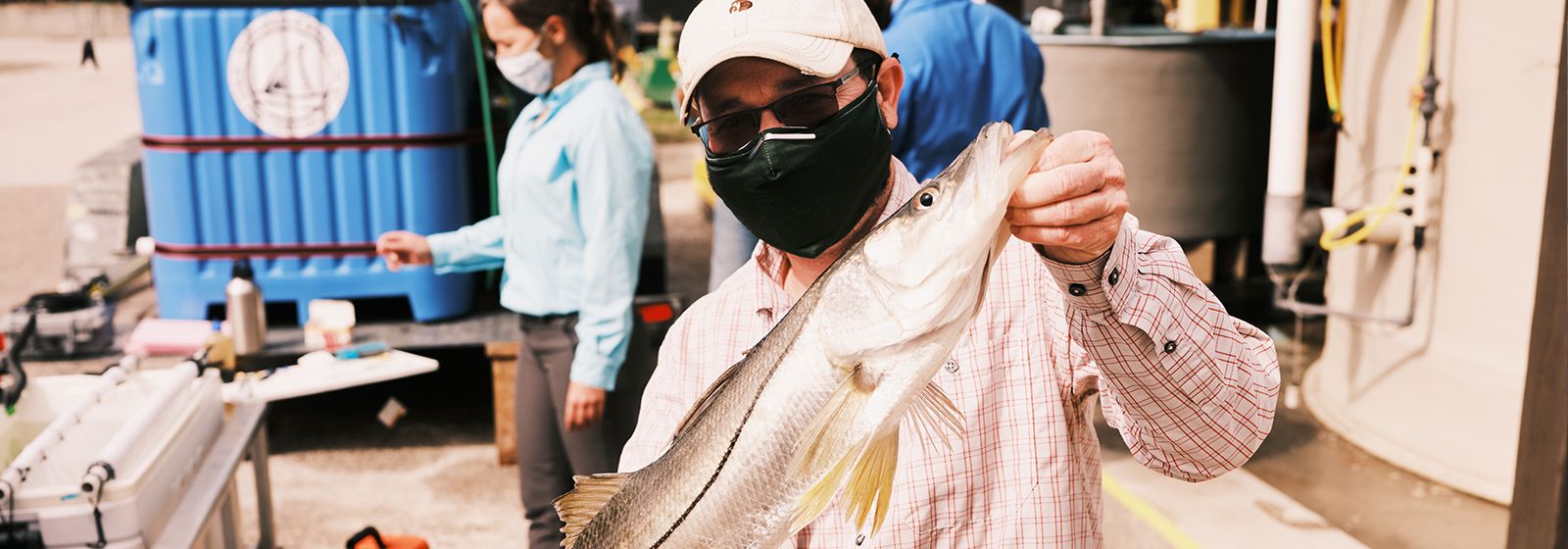 Snook are moving north, and scientists want to know why | Duke Energy ...