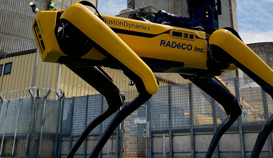 Mikayla Kreuzberger | Duke Energy | illumination