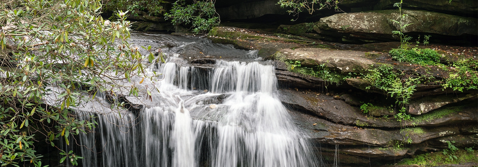 Statewide tour explores South Carolina's natural wonders | Duke Energy ...