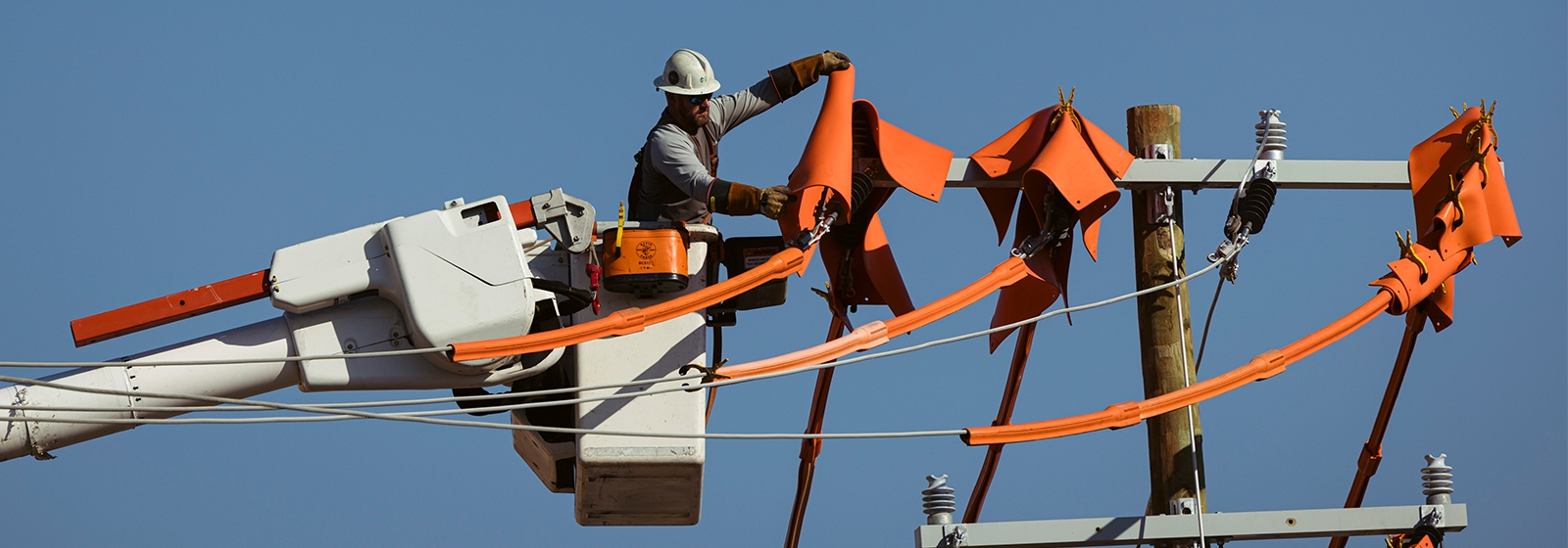 Celebrating the essential workers who power our lives, rain or shine ...