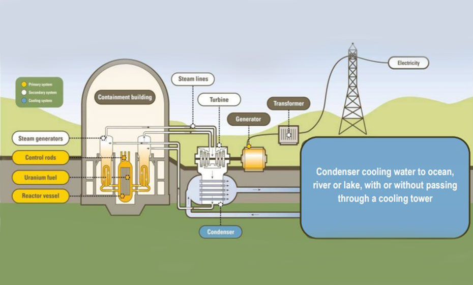 Fission vs. Fusion – What’s the Difference? | Duke Energy | illumination