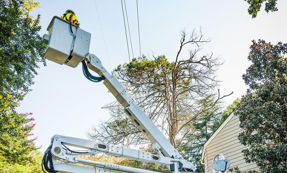Why Duke Energy trims trees, vegetation near power lines | Duke Energy ...