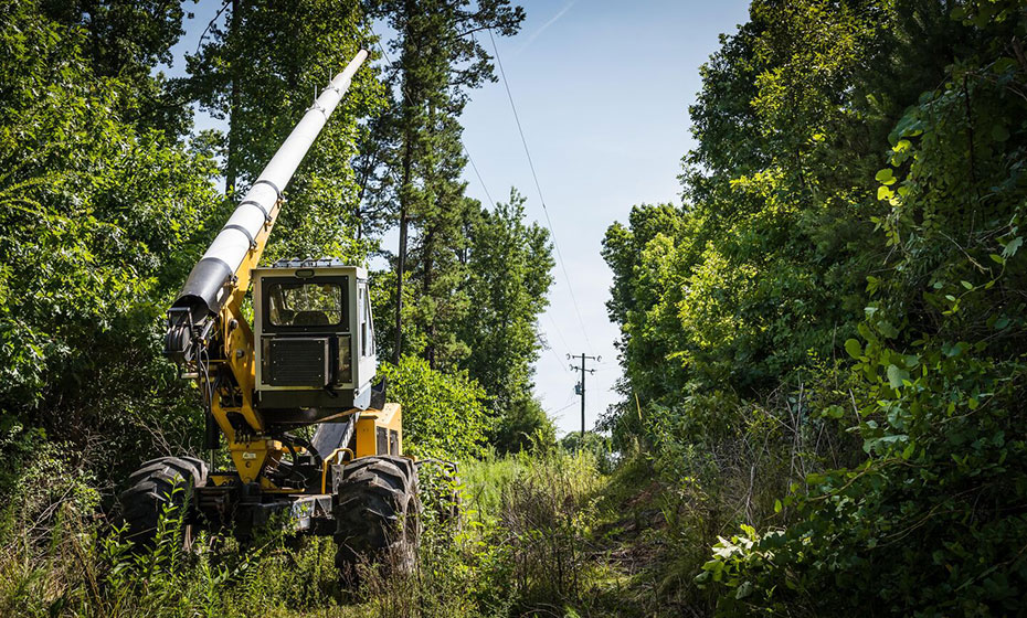 Why Duke Energy trims trees, vegetation near power lines | Duke Energy ...