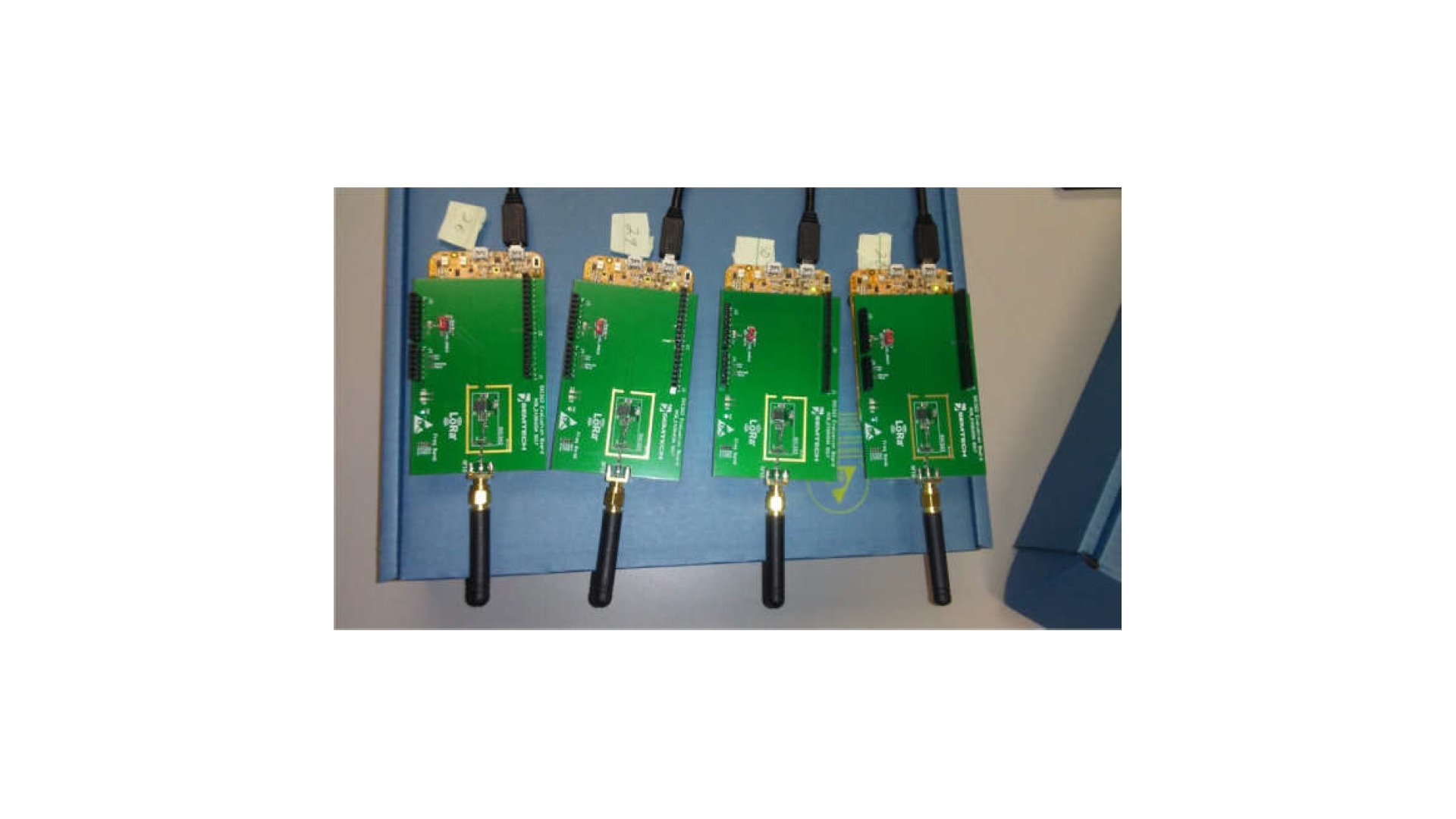 NewMediaWire | Gopher Protocol Successfully Completes Decentralized ...