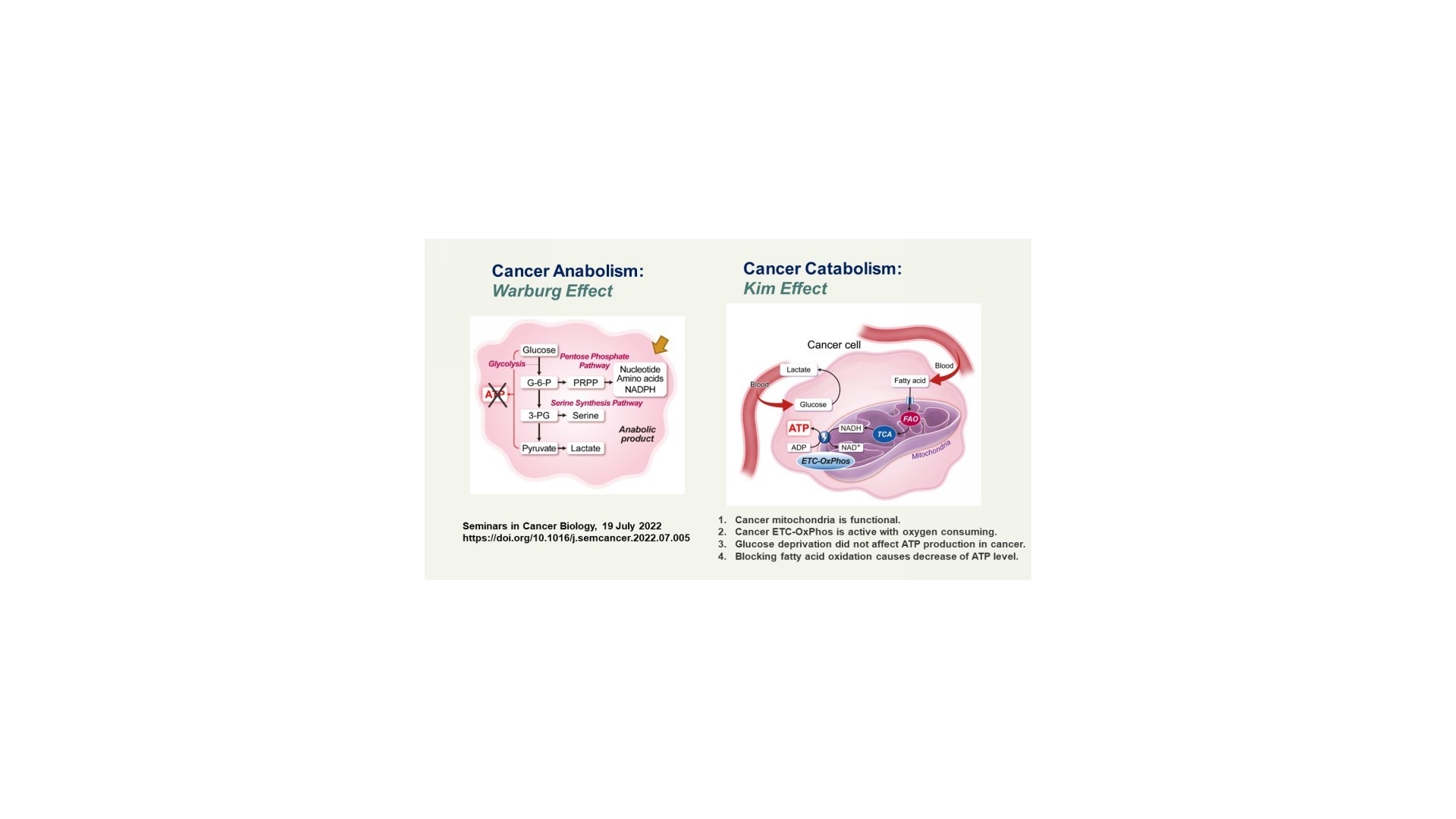 NewMediaWire | Potential New Therapeutic Approach for Pancreatic Cancer ... NewMediaWire | Potential New Therapeutic Approach for Pancreatic Cancer ...