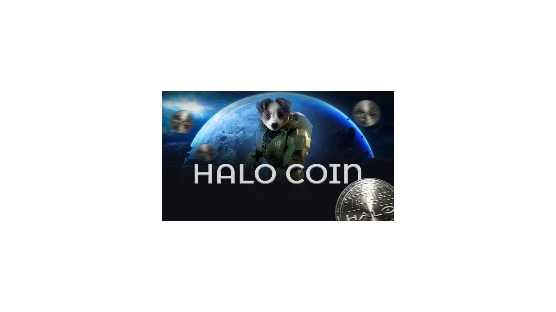 NewMediaWire | HALO COIN Ecosystem Opens Opportunities for Launching ...