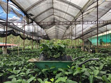 Dunkin’ Tests Biodegradable Straws at Select Stores Across the U.S ...