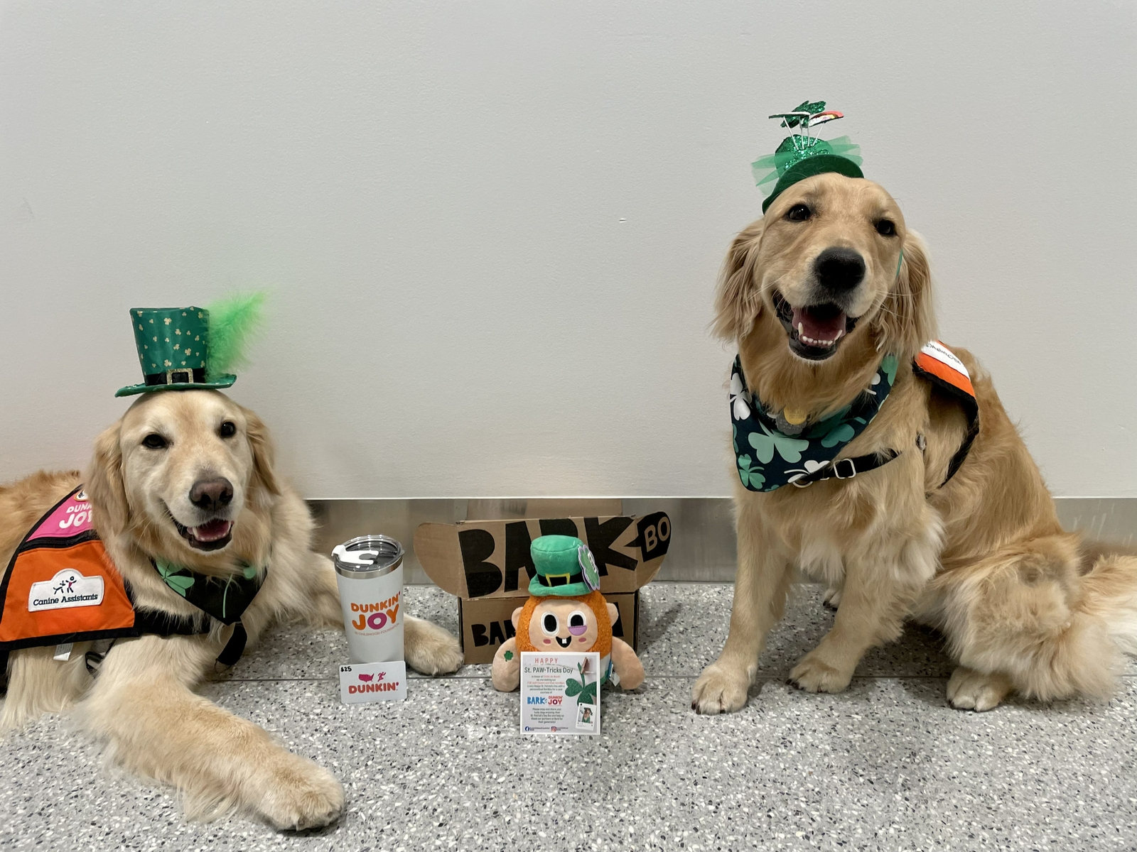 The Dunkin’ Joy in Childhood Foundation & BARK Celebrate Its “Fur Leaf ...