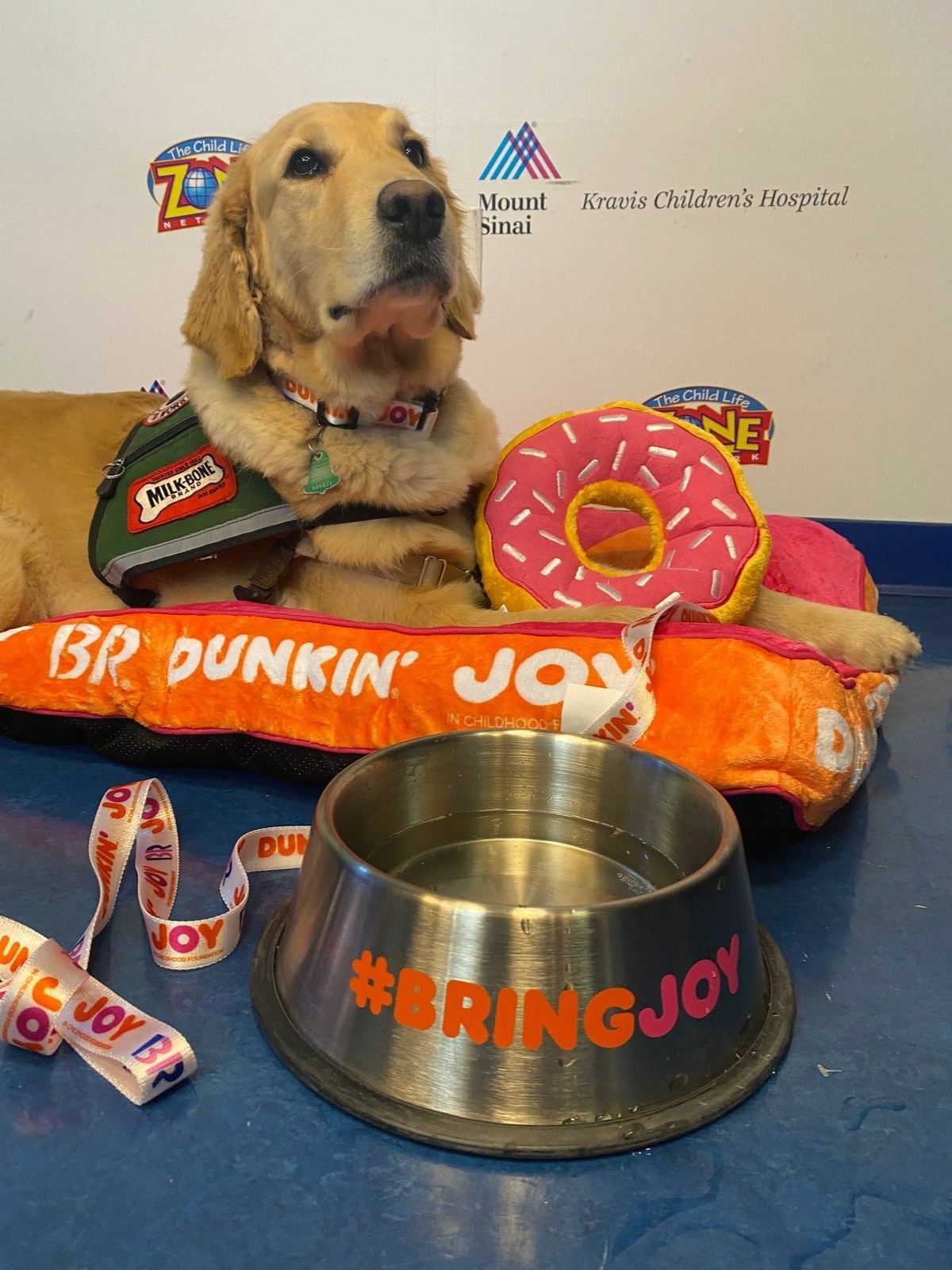 Dunkin’ Joy in Childhood Foundation Celebrates Pediatric Service Dog ...