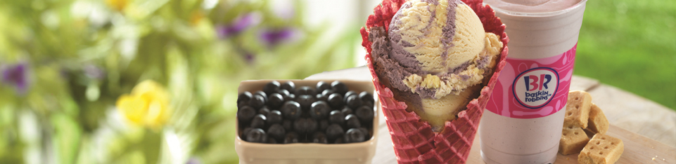 CELEBRATE SPRING WITH BASKIN-ROBBINS’ LINE-UP OF NEW MENU ITEMS ...