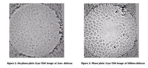 Phase plate |OHSU News
