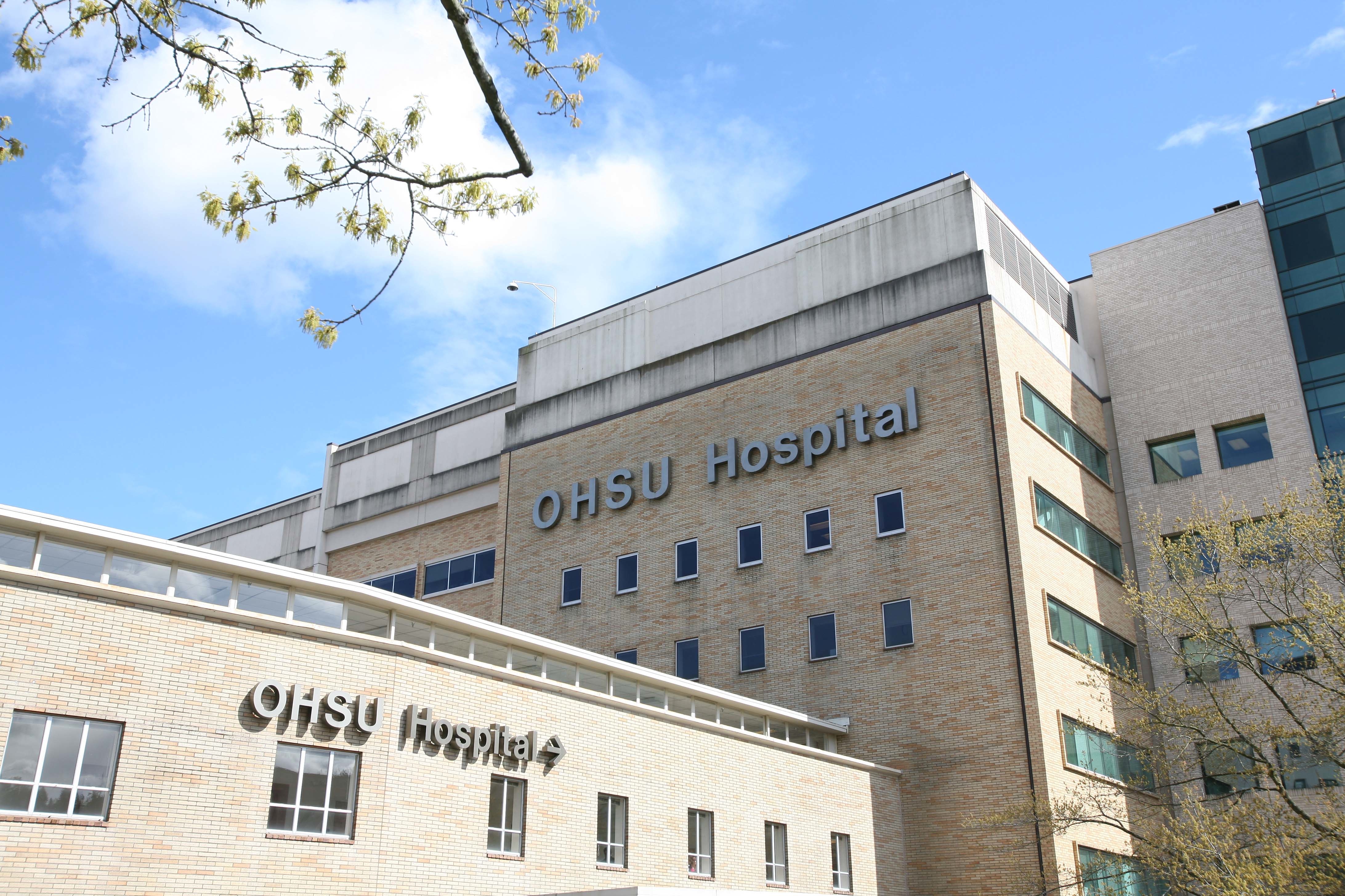 OHSU Healthcare appoints new chief operating officer | OHSU News
