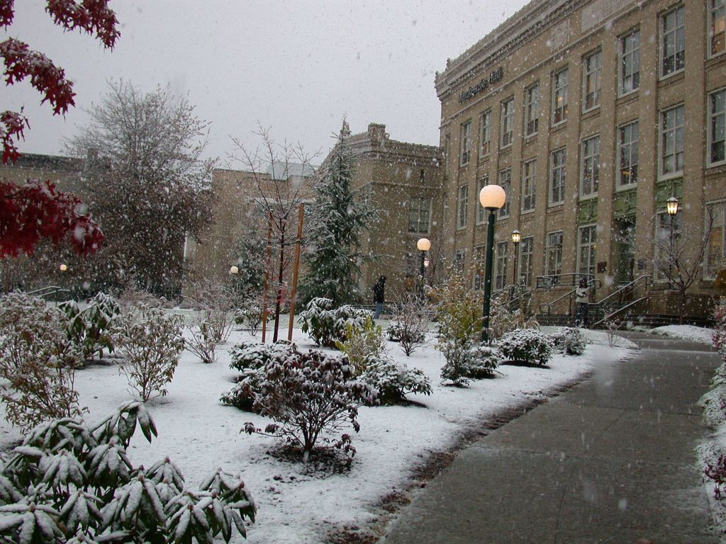 Mackenzie Hall |OHSU News