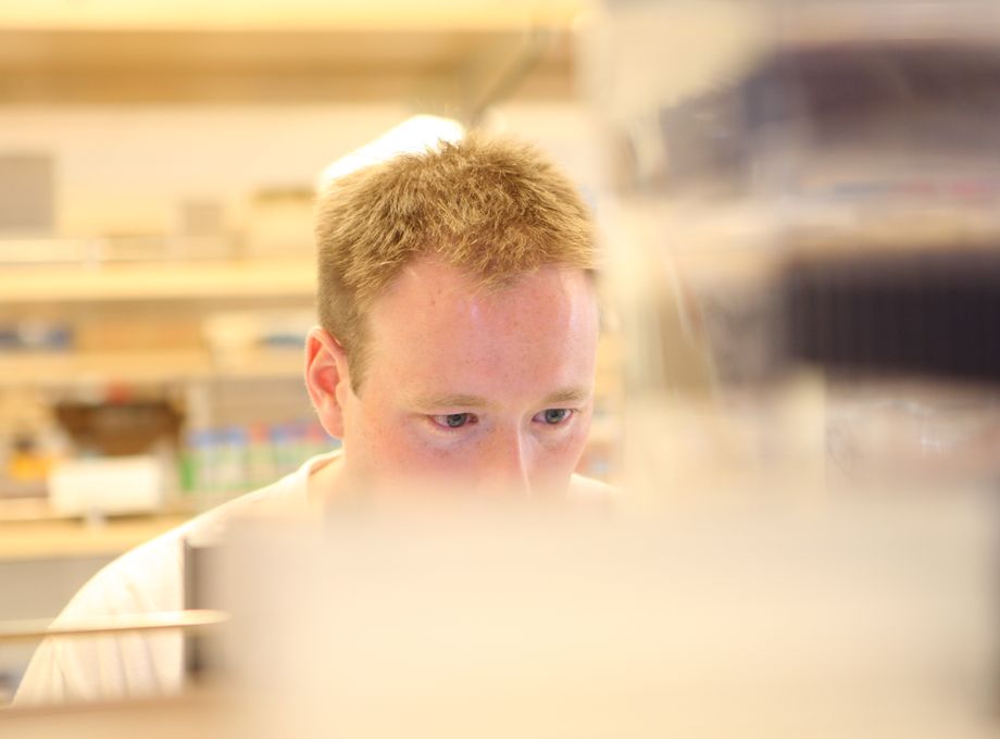 Three OHSU scientists earn $2.25 million to accelerate innovation, collaboration | OHSU News