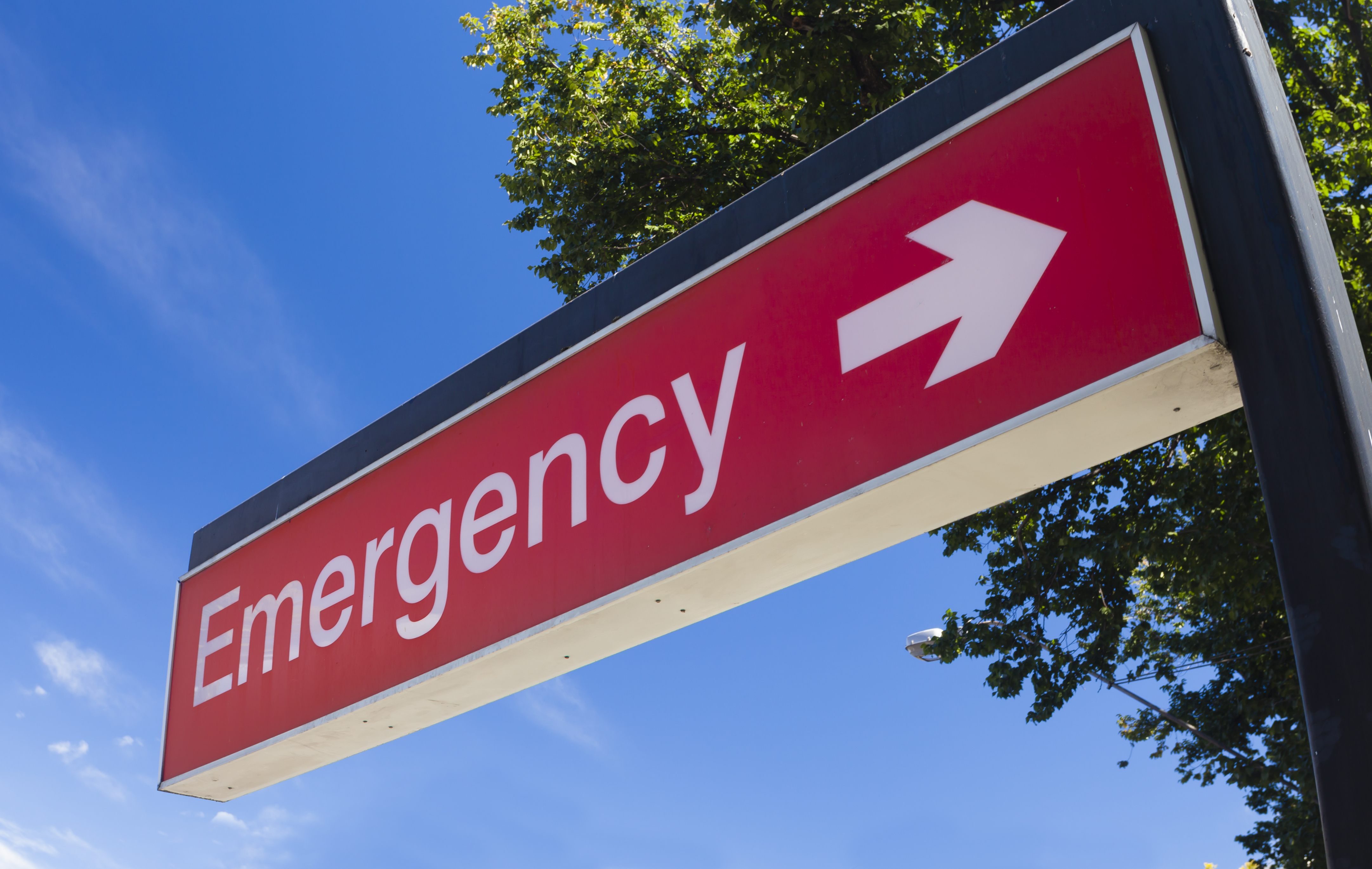 Study identifies methods for preventing overcrowding in emergency rooms ...