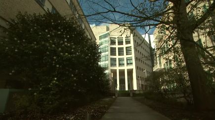 OHSU Knight Cancer Institute's Brian Druker a trailblazer in cancer ...