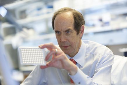 Preeminent cancer biologist Brian Druker, M.D., receives international ...