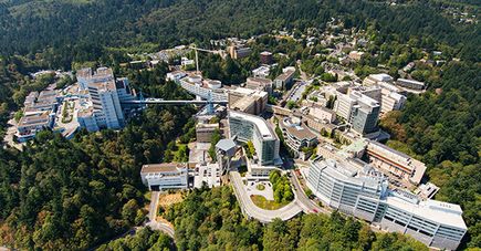 OHSU president calls for eliminating disparities in health care | OHSU News