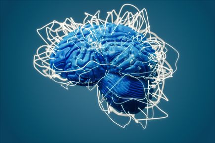Brain mapping: New technique reveals how information is processed ...