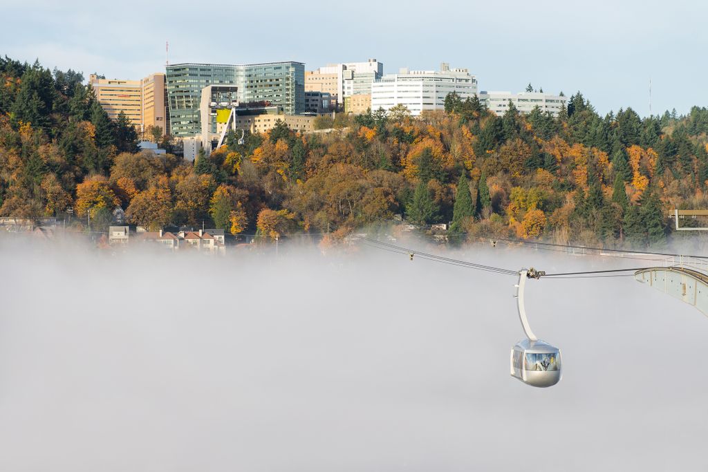 OHSU 2021 accomplishments: The year in review | OHSU News