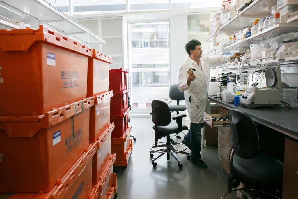 Cancer research |OHSU News