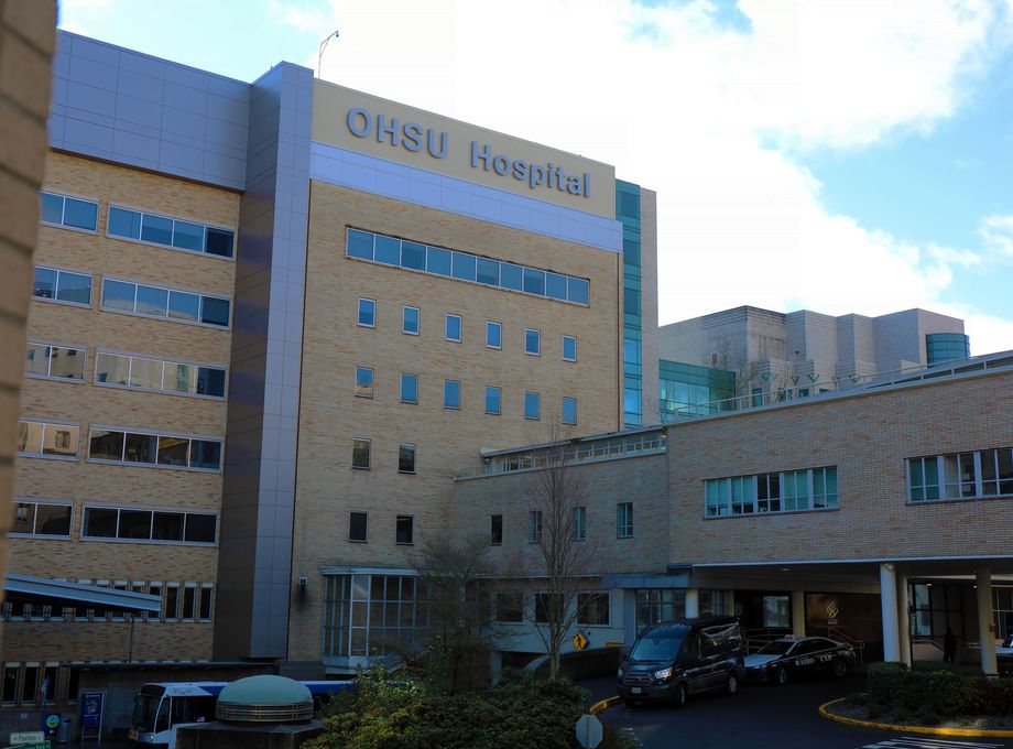 OHSU investigators awarded $3 million for innovative, promising ...