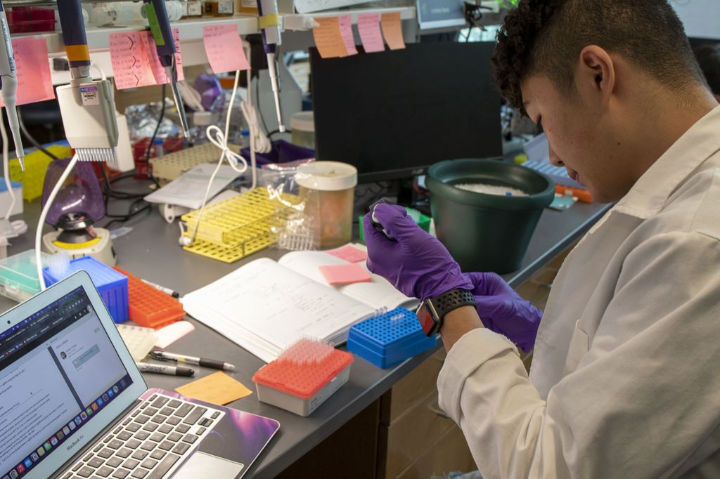 Jeff Tyner Lab 2022 |OHSU News