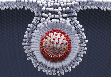 Fat Virus CSIR CDRI Lucknow