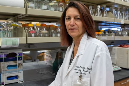 Study reveals limitations in evaluating gene editing technology in ...