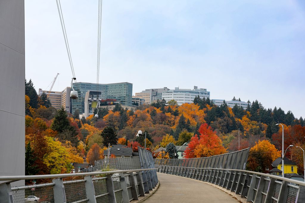 OHSU Tram in Autumn |OHSU News