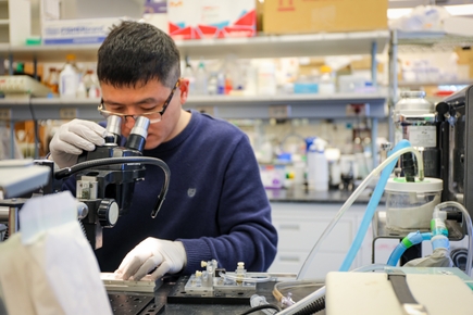 OHSU attracts nearly $600 million in research funding — a record | OHSU ...