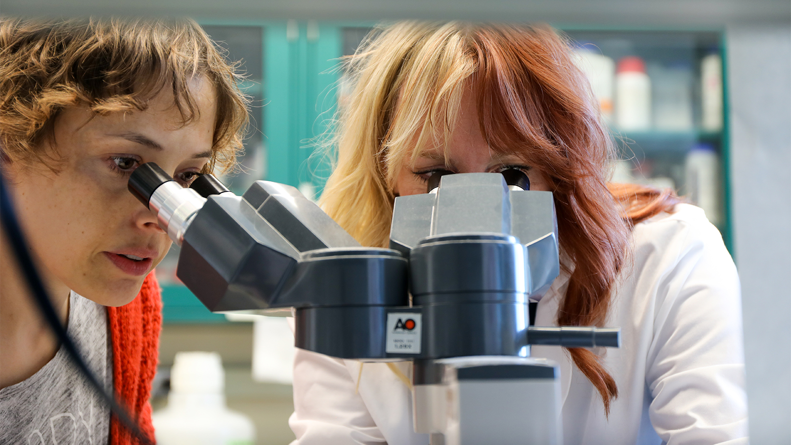 Study identifies biomarker that could lead to better treatment for ...