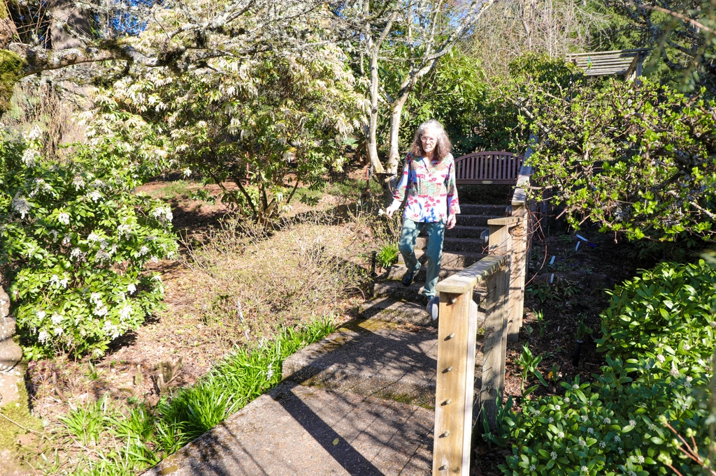 OHSU implants Oregon’s first wireless, dual-chamber pacemaker |OHSU News