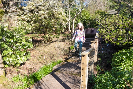 OHSU implanta el primer marcapasos inalámbrico de doble cámara de ...