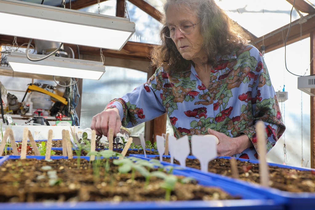 Valerie Clappison en su invernadero |OHSU News