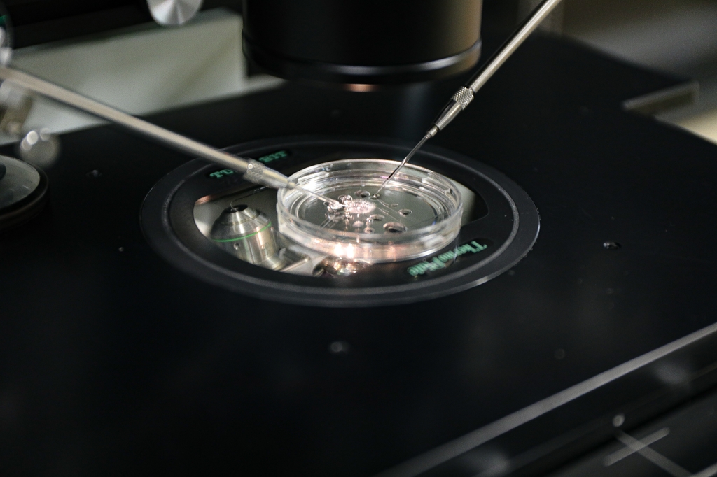 IVF research |OHSU News