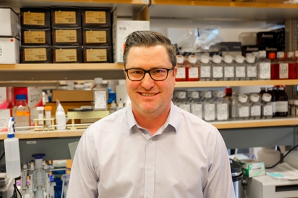 OHSU scientists develop first transgenic model for hepatitis B research ...