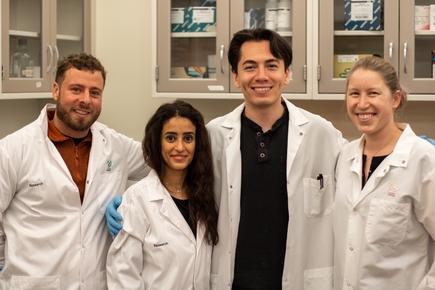 Revisión: las células B hacen más que producir anticuerpos, también dan ...