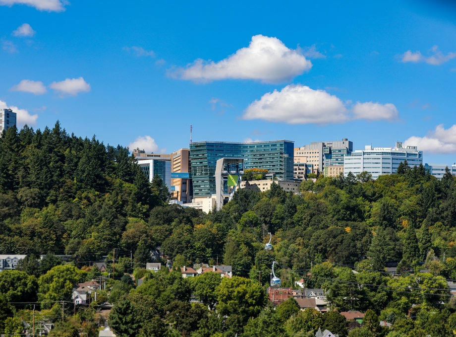Viewpoint Ohsu News